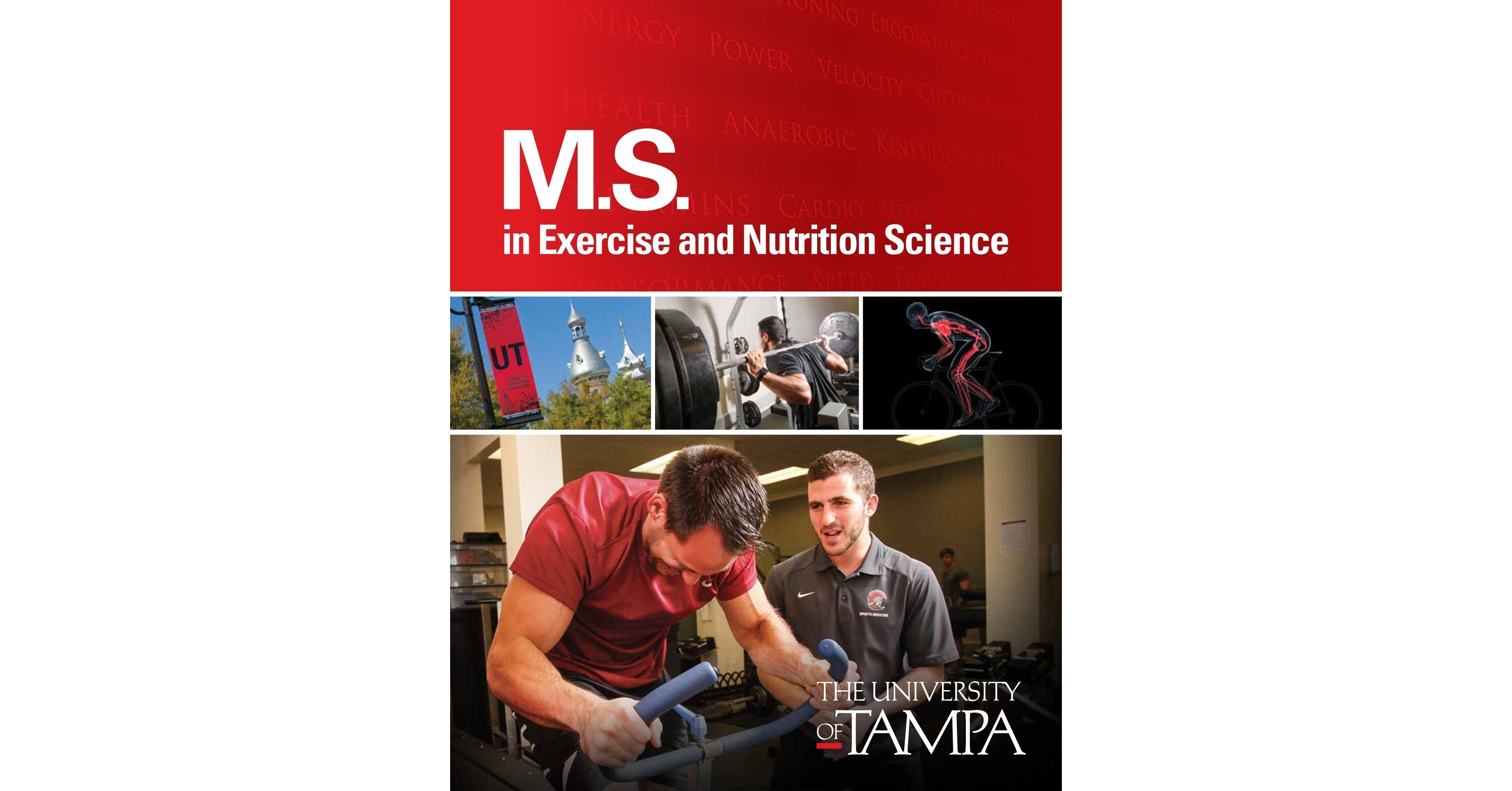 M.S.ExerciseNutritionScience-Brochure-2018