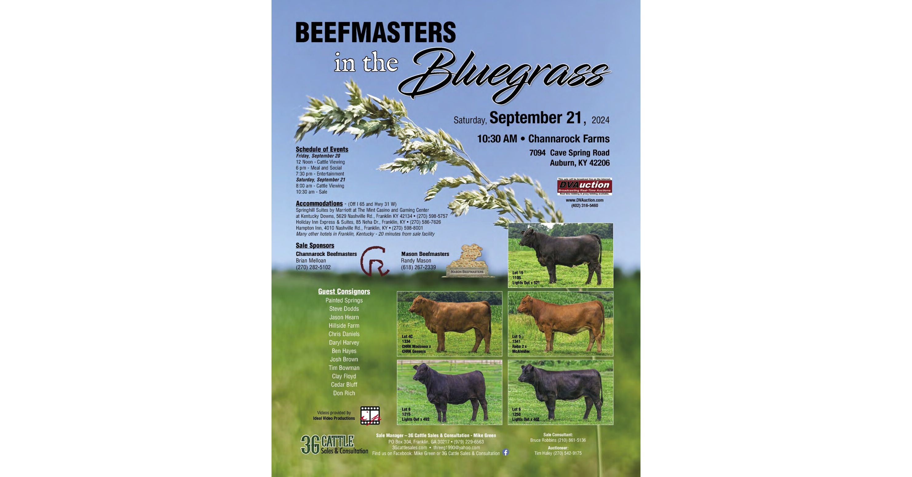 Beefmasters in the Bluegrass 2024