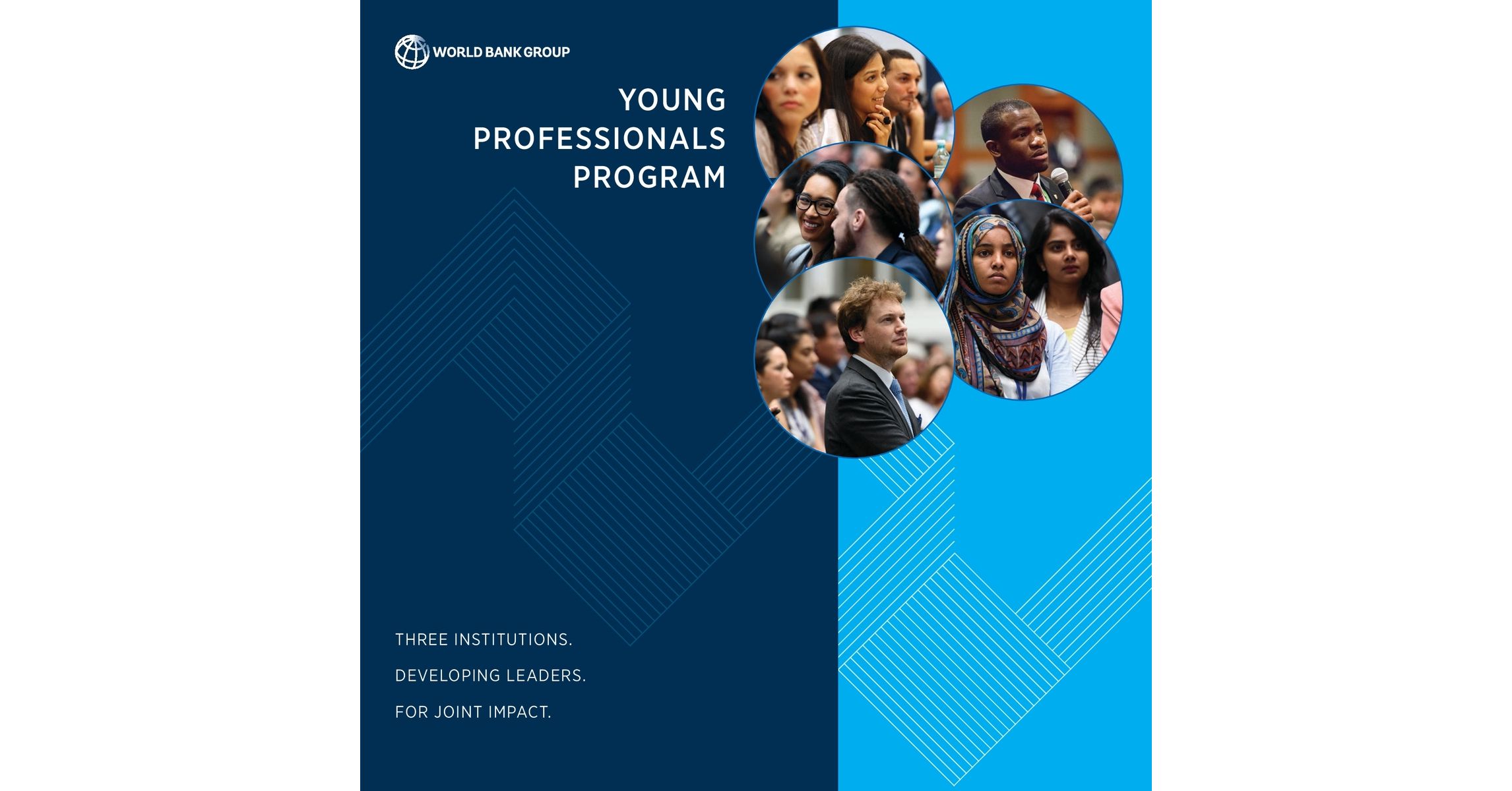 The World Bank Group_Young Professionals Program