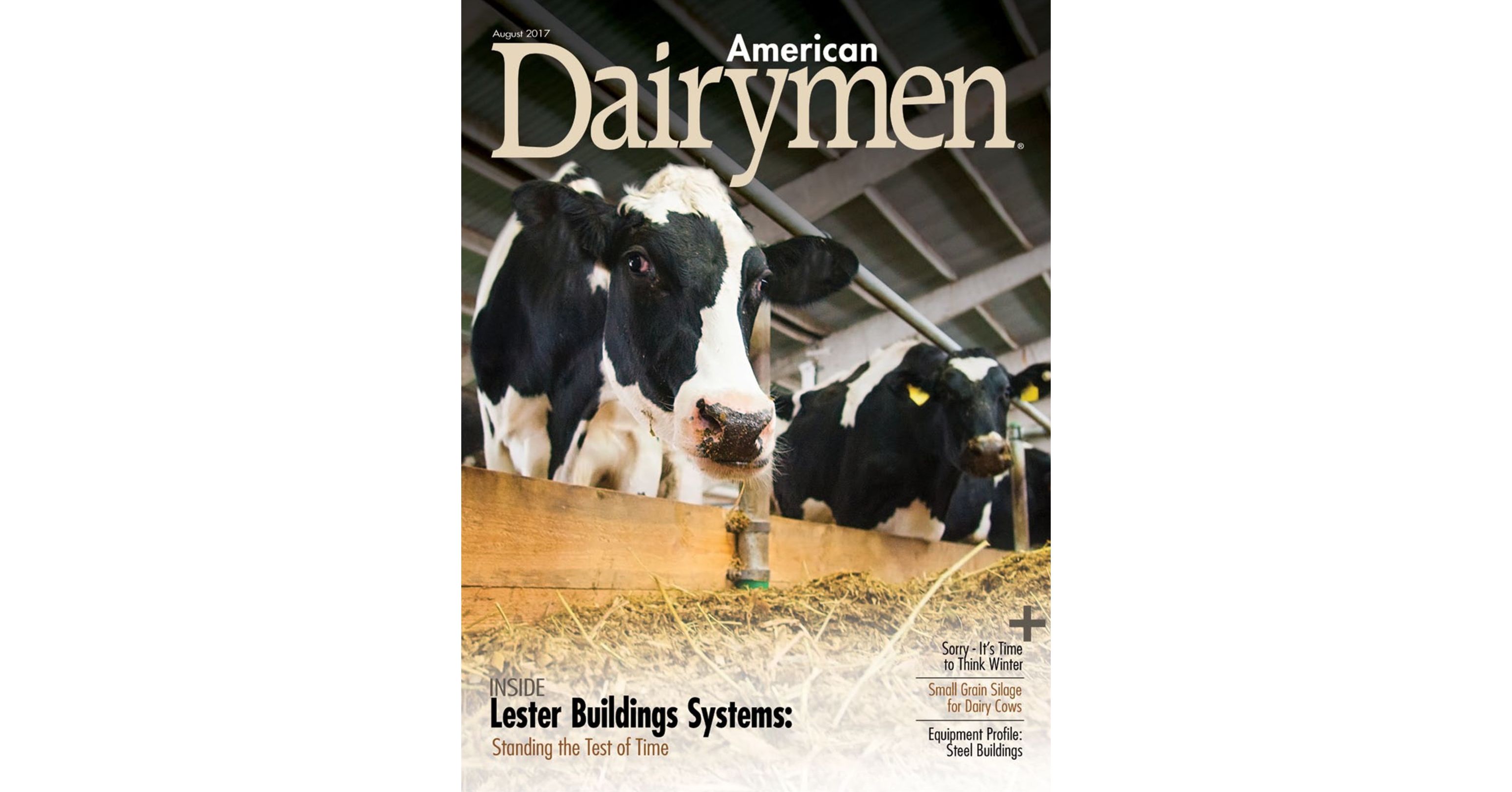American Dairymen