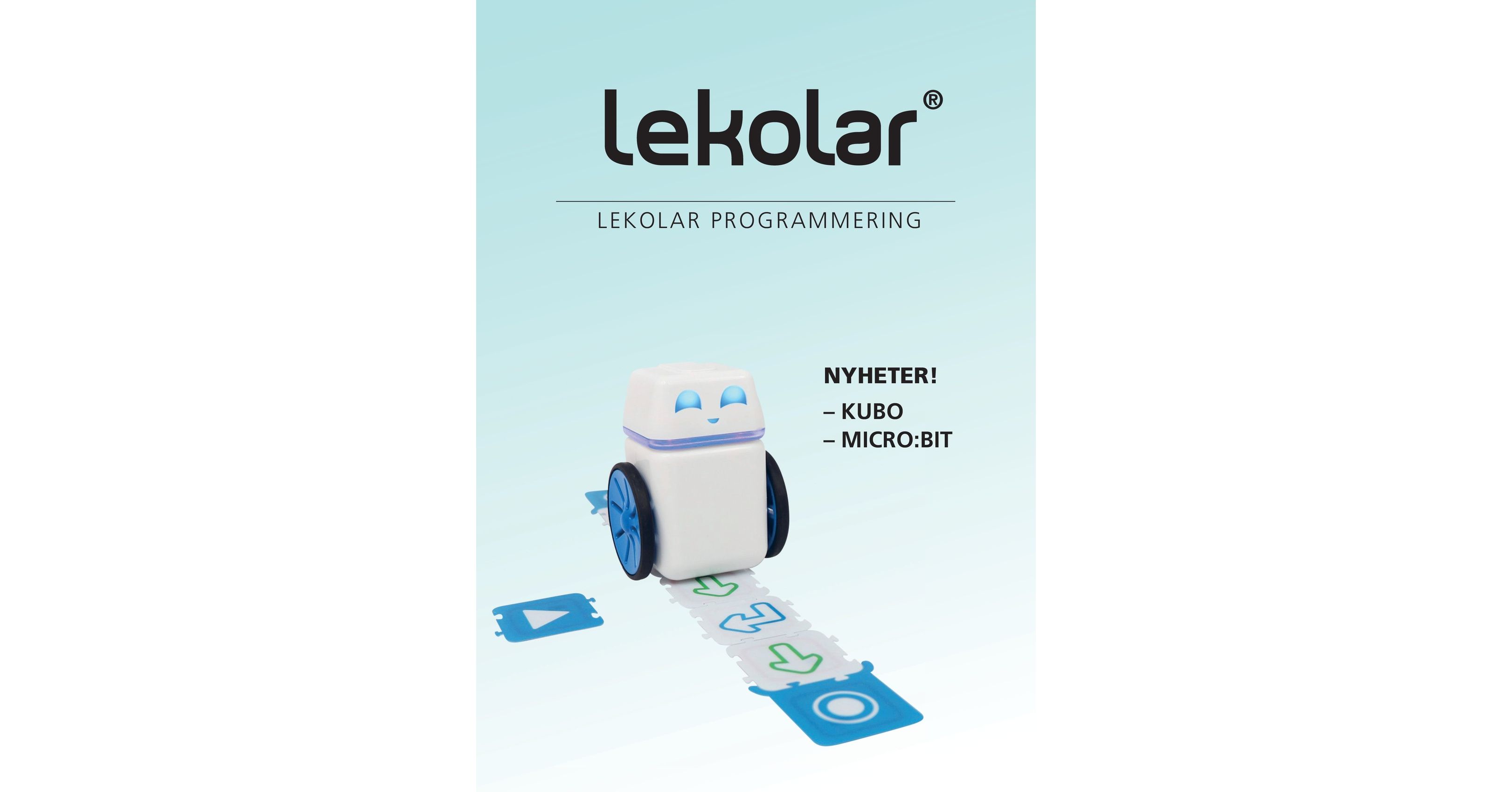 Programmering i skolan och förskolan 2018