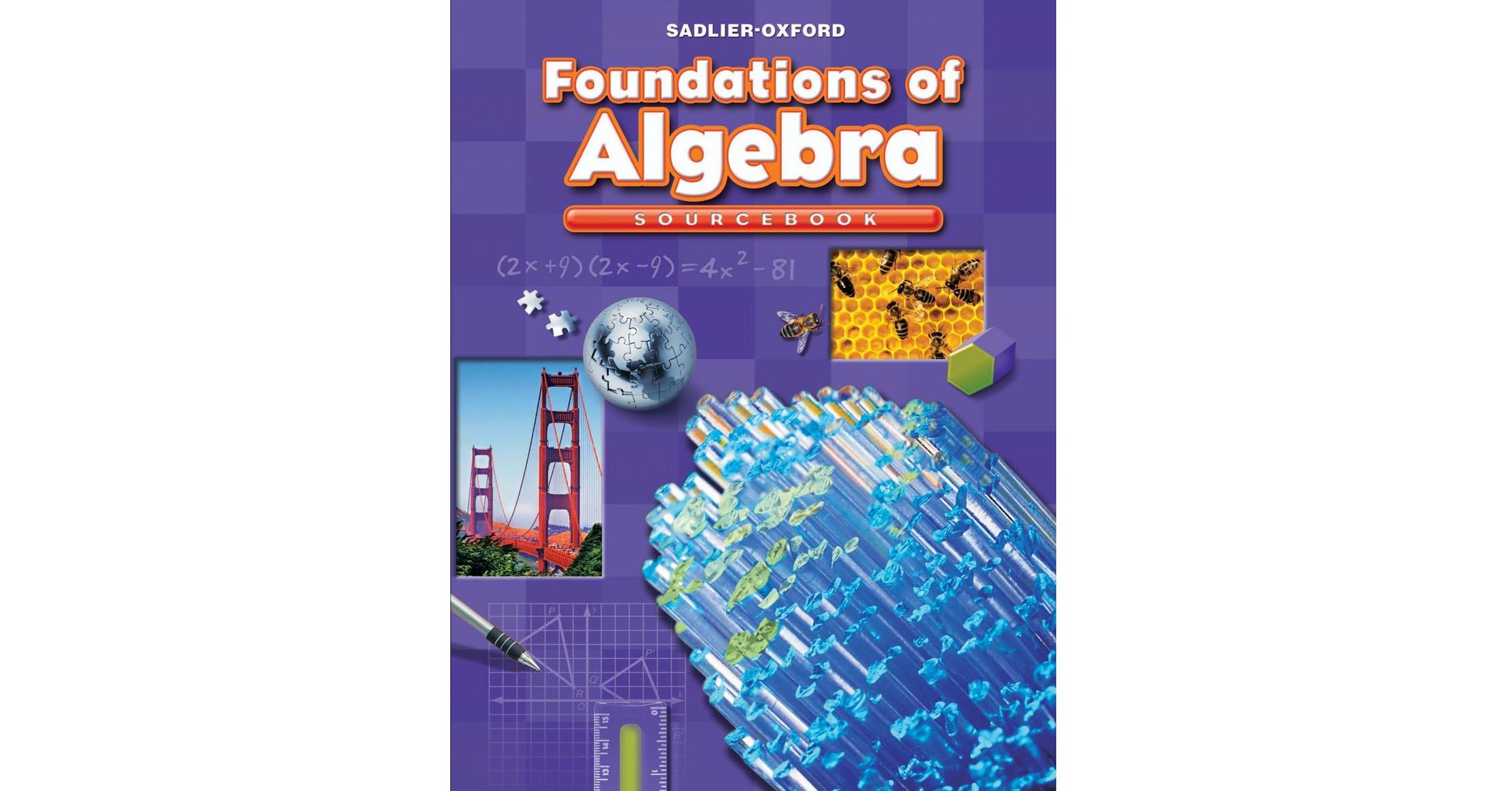 Progress In Mathematics Foundations Of Algebra Student Edition