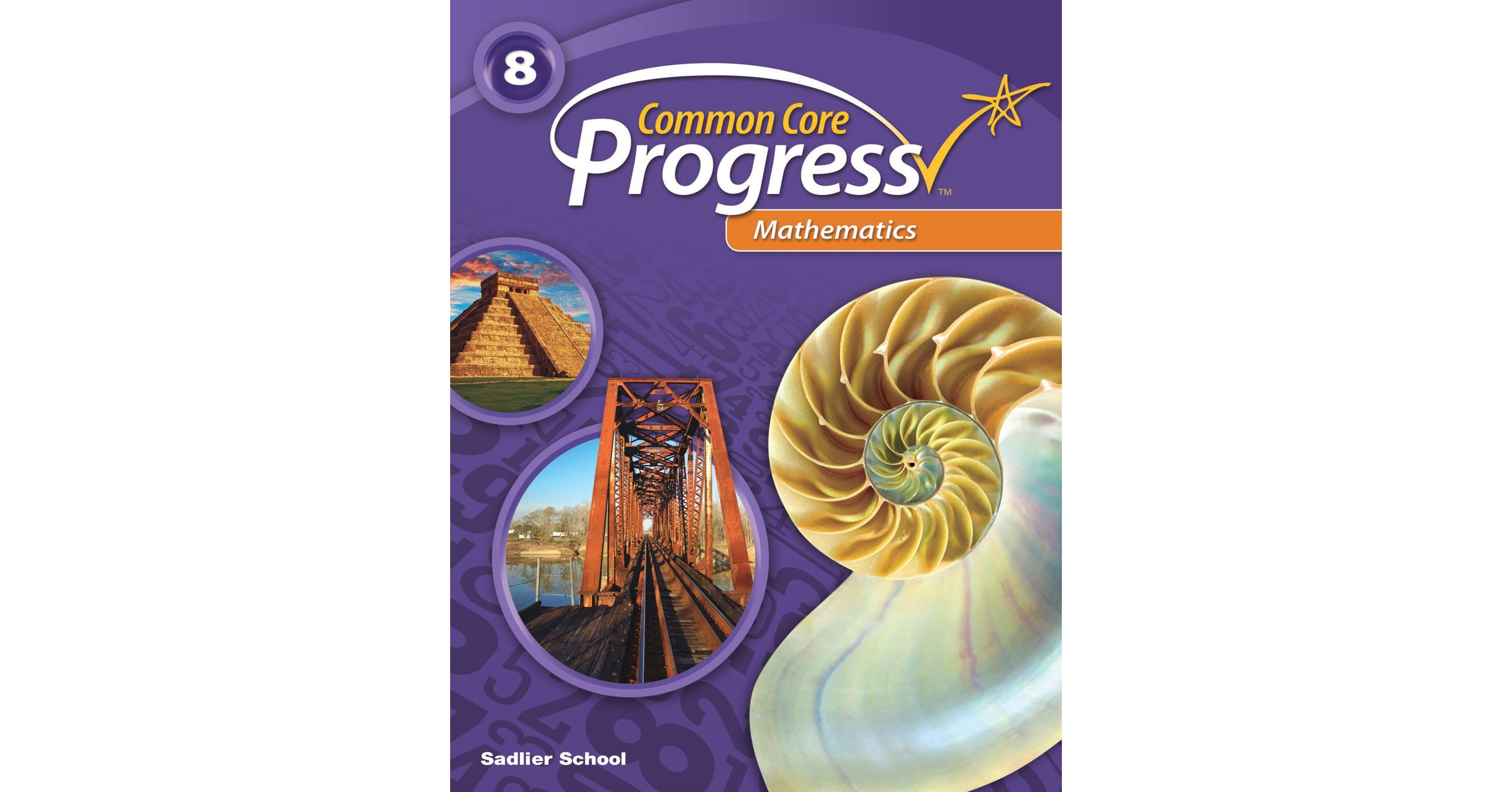 Common Core Progress-Mathematics-Gr 8 Student Edition Sampler