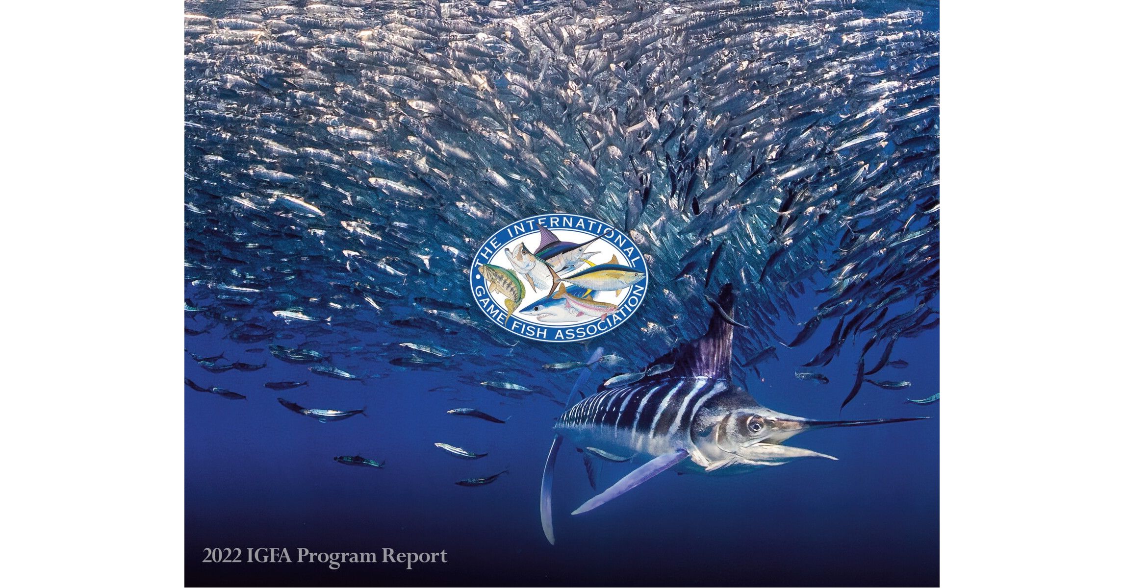 2022_IGFA Program Report