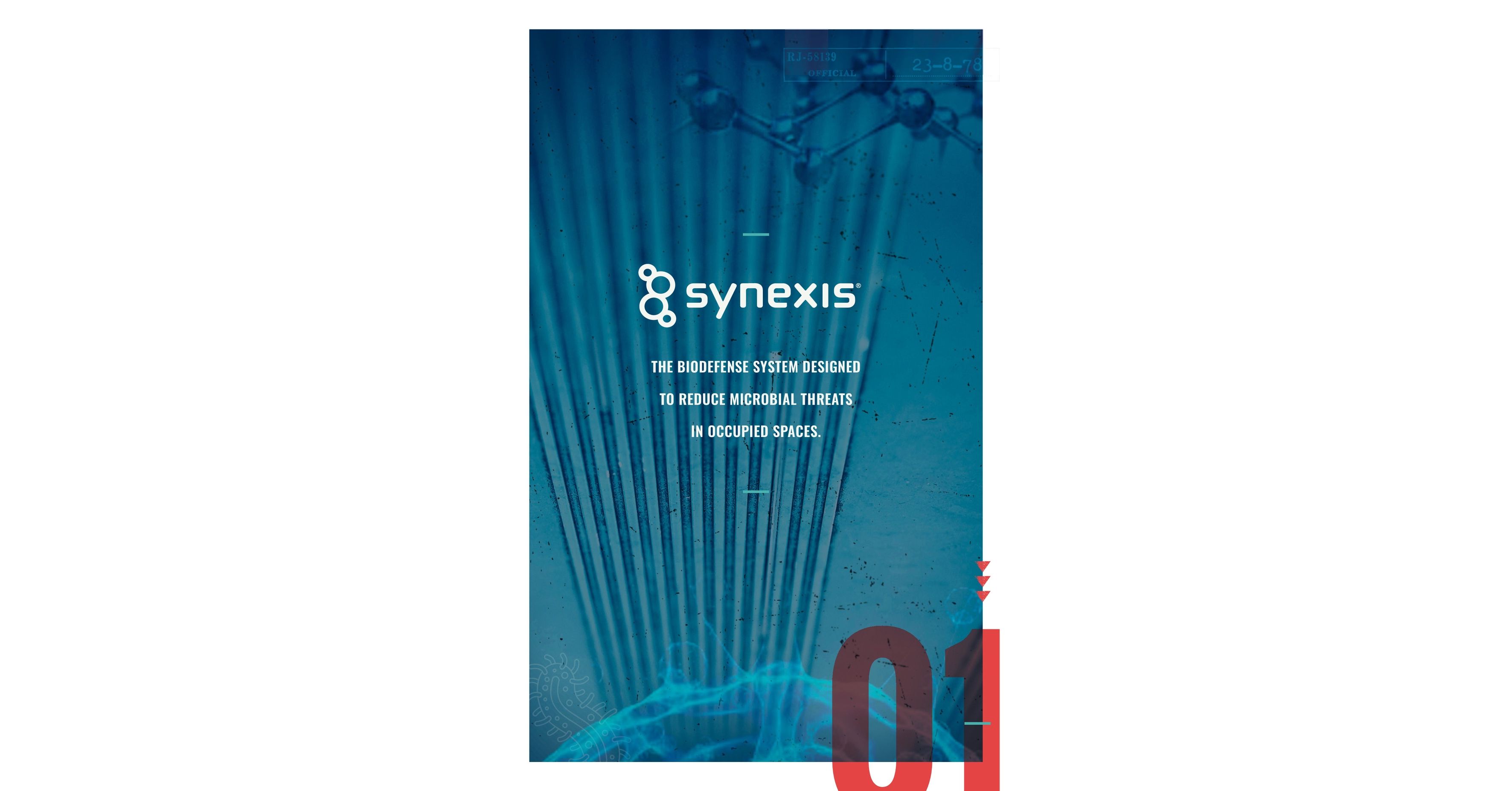 Synexis - Catalog