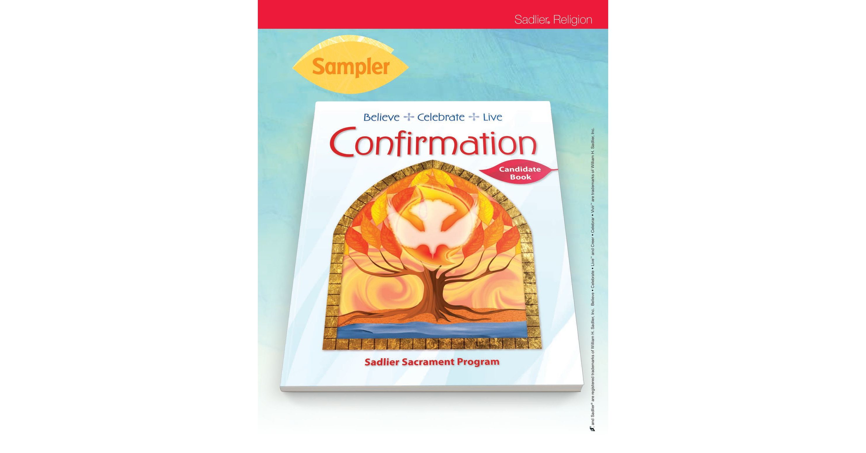 Believe • Celebrate • Live, Confirmation, Candidate Book